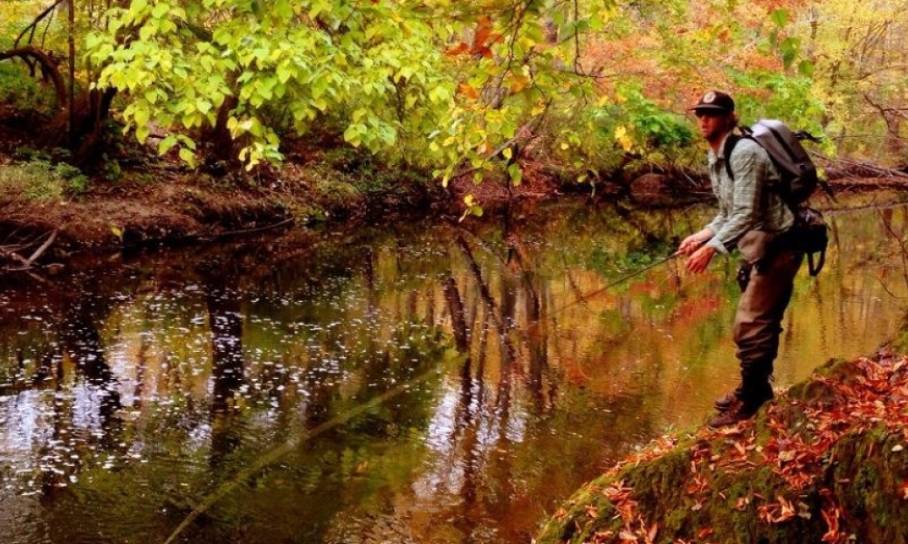 Go Fish in Connecticut | CTvisit