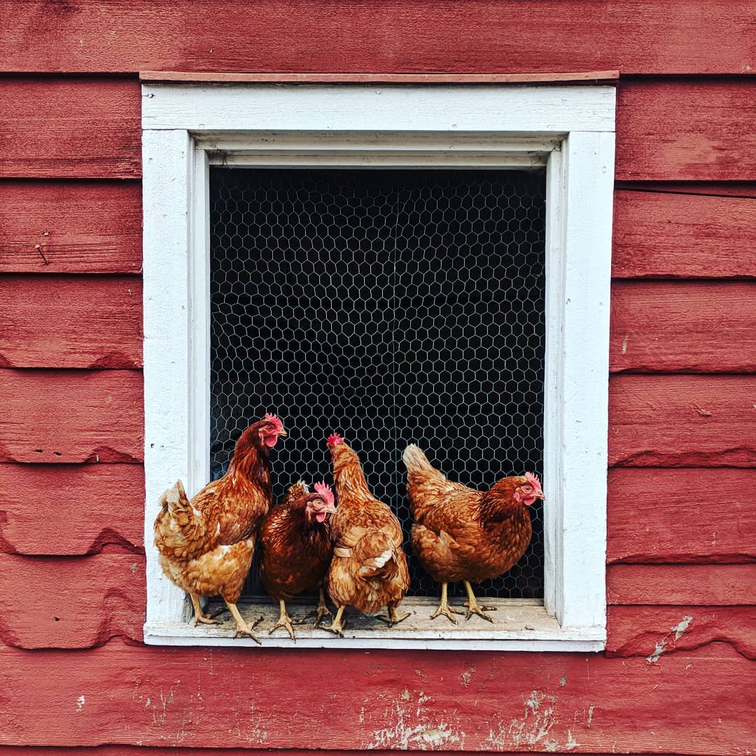 Sub-Edge Farm | Visit CT