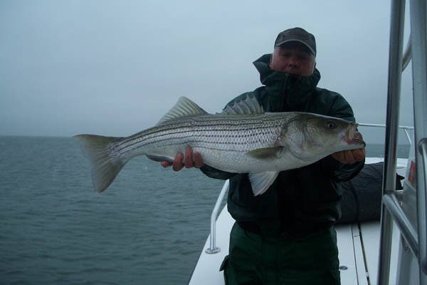 Tiderunner Charter | Visit CT