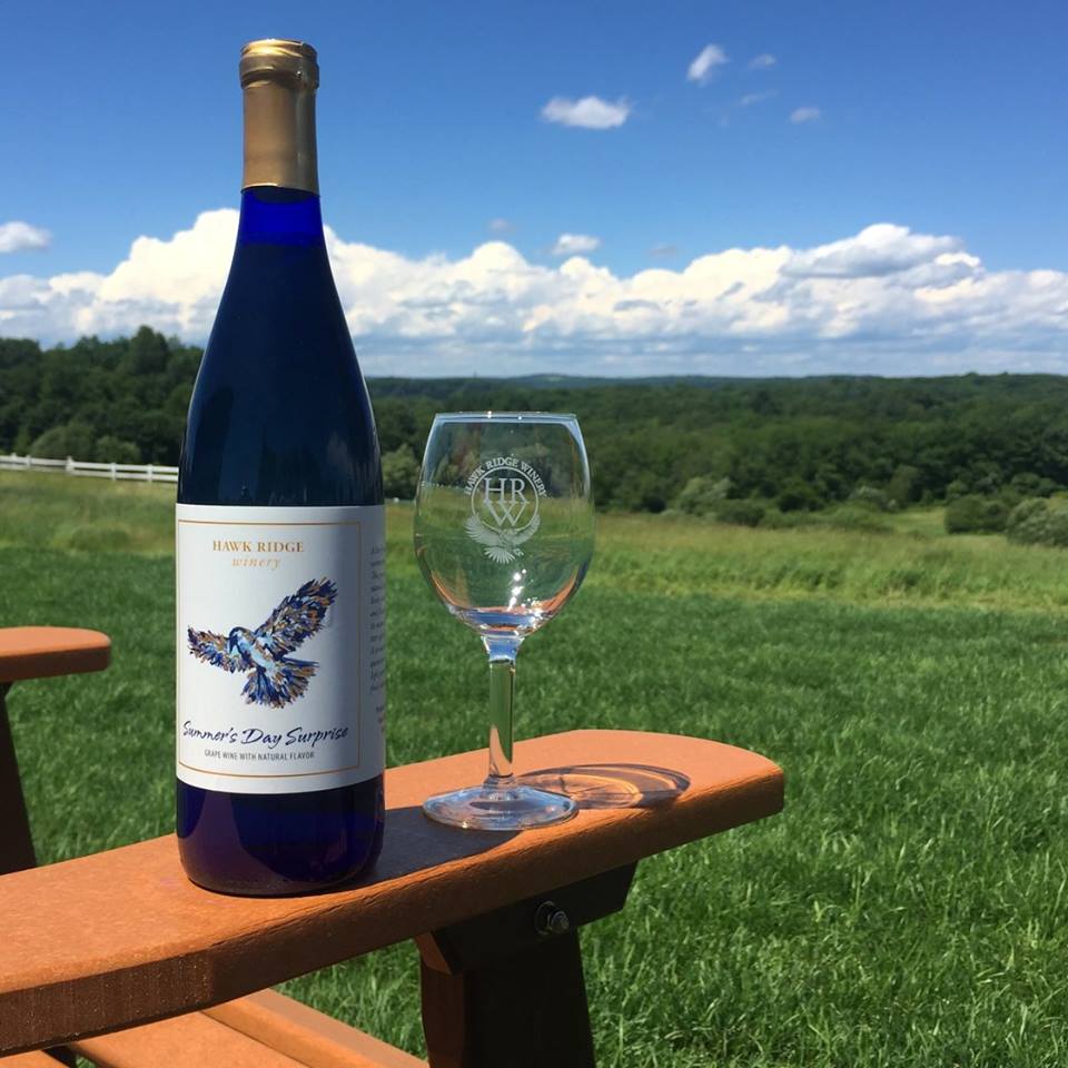 Hawk Ridge Winery | Visit CT